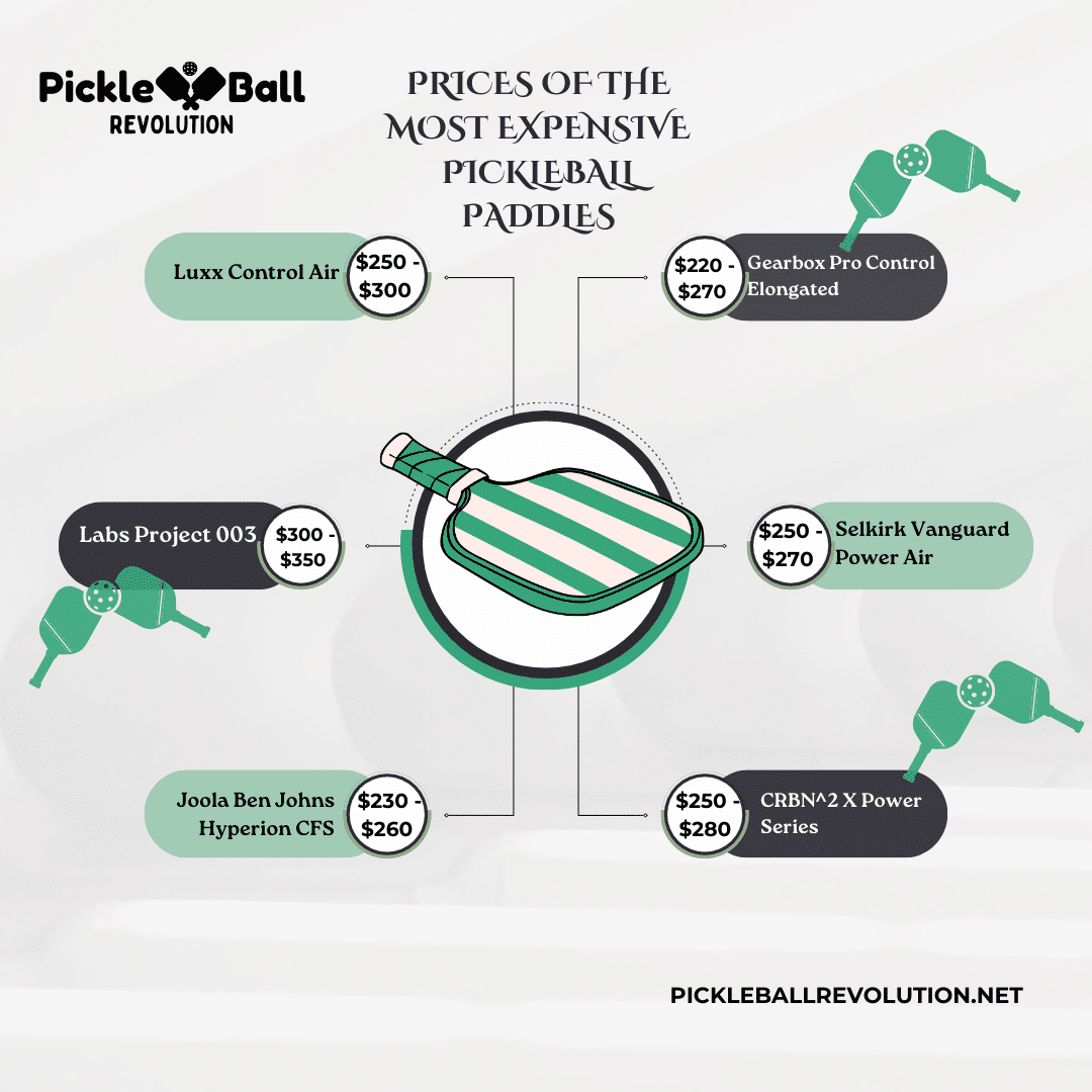 Most Expensive Pickleball Paddles in 2024